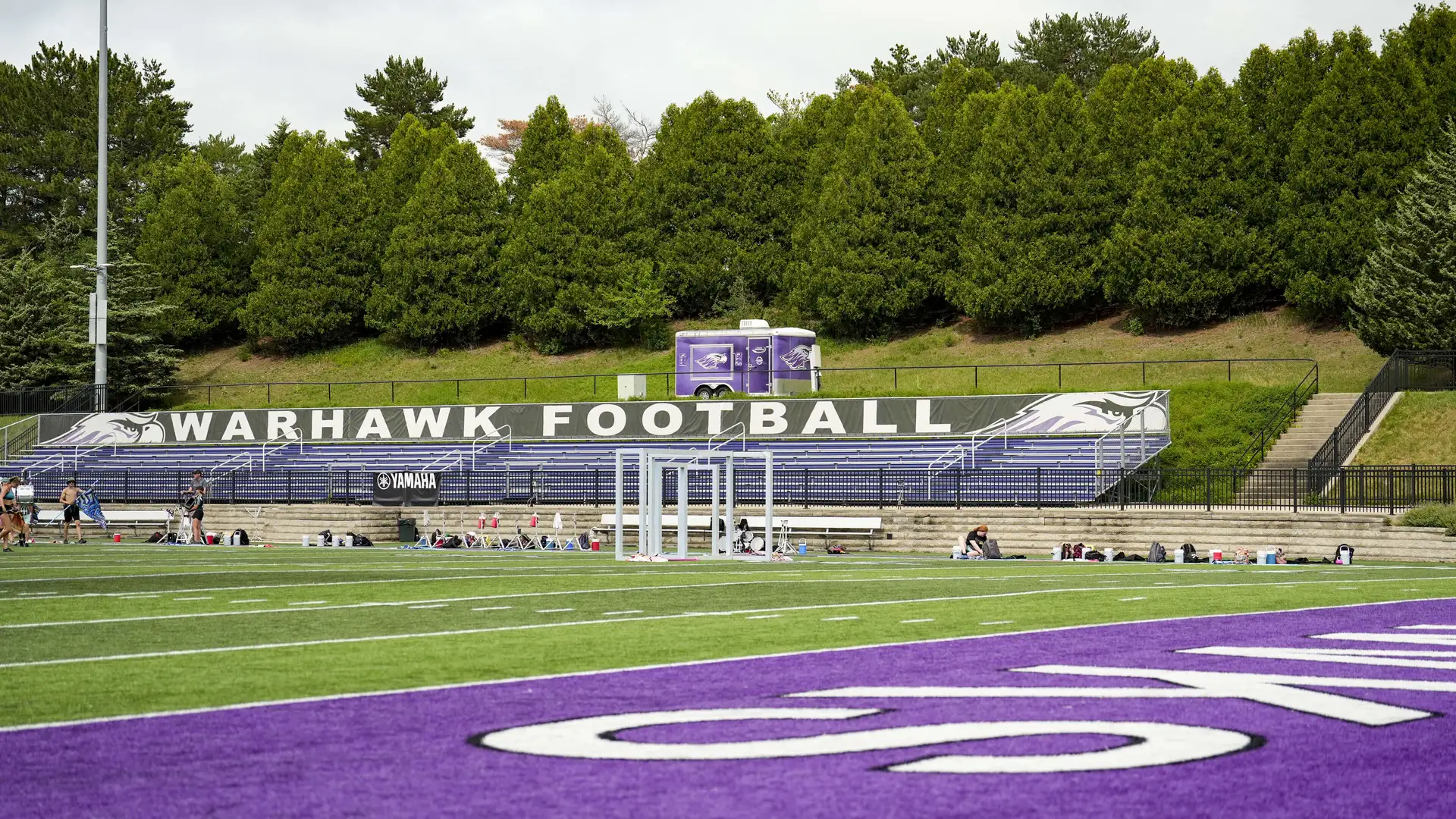 A Tree Grows in Whitewater